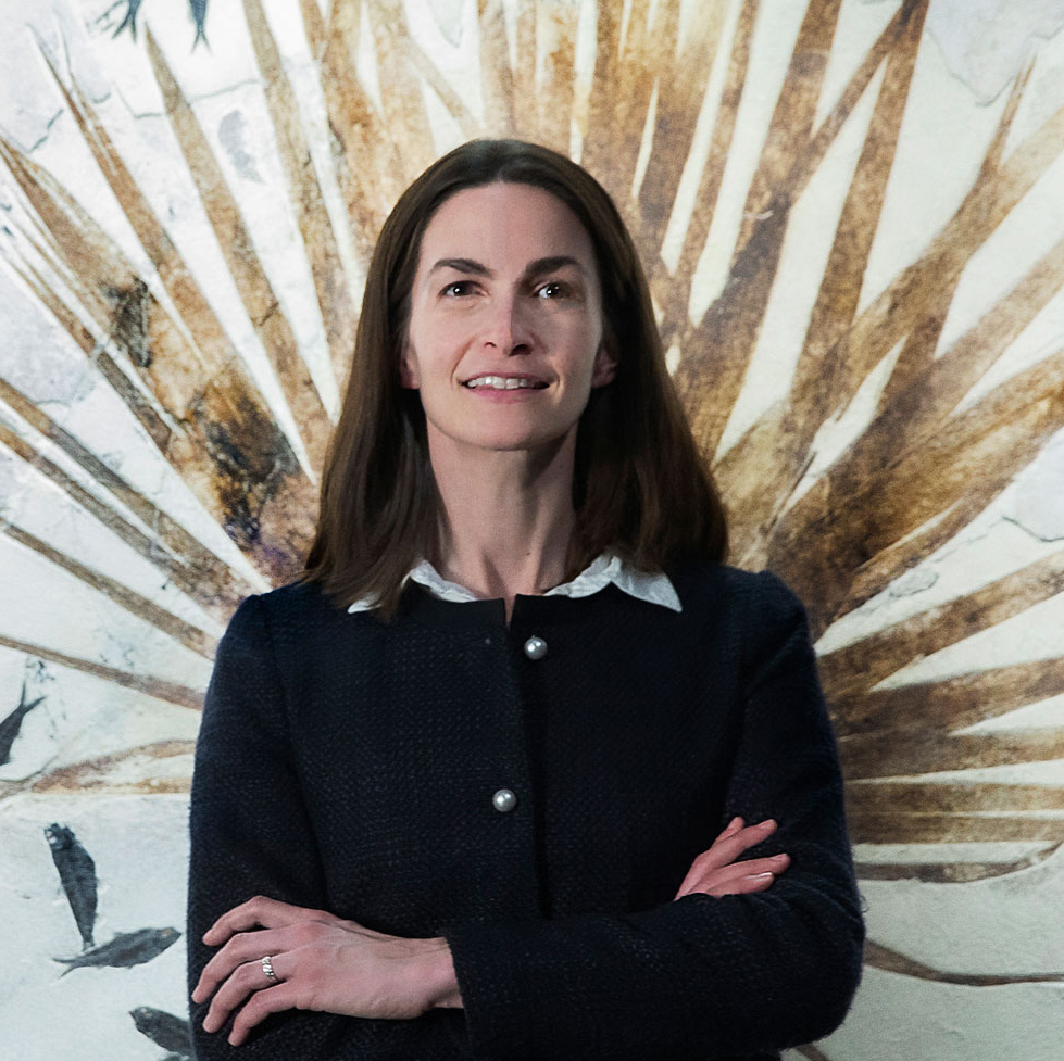 BioDeepTime I & II – Welcome to PaleoSynthesis