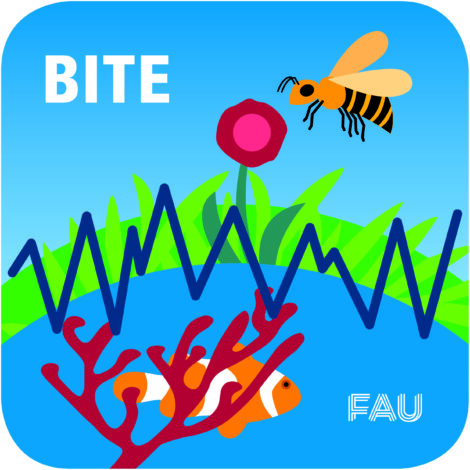 Workshops – Welcome to PaleoSynthesis